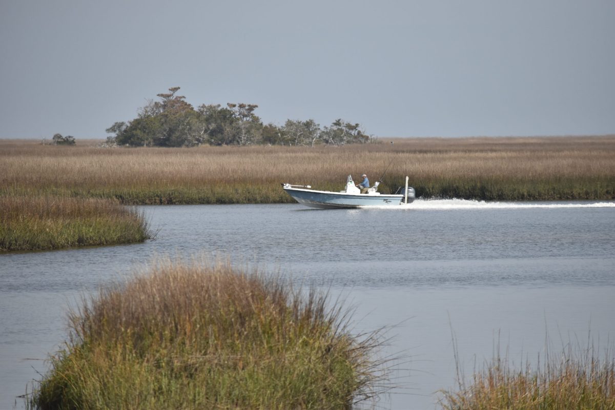 239 Bay | Bay Rider Boats