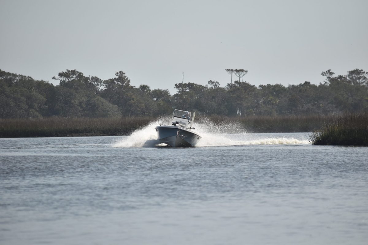 239 Bay | Bay Rider Boats